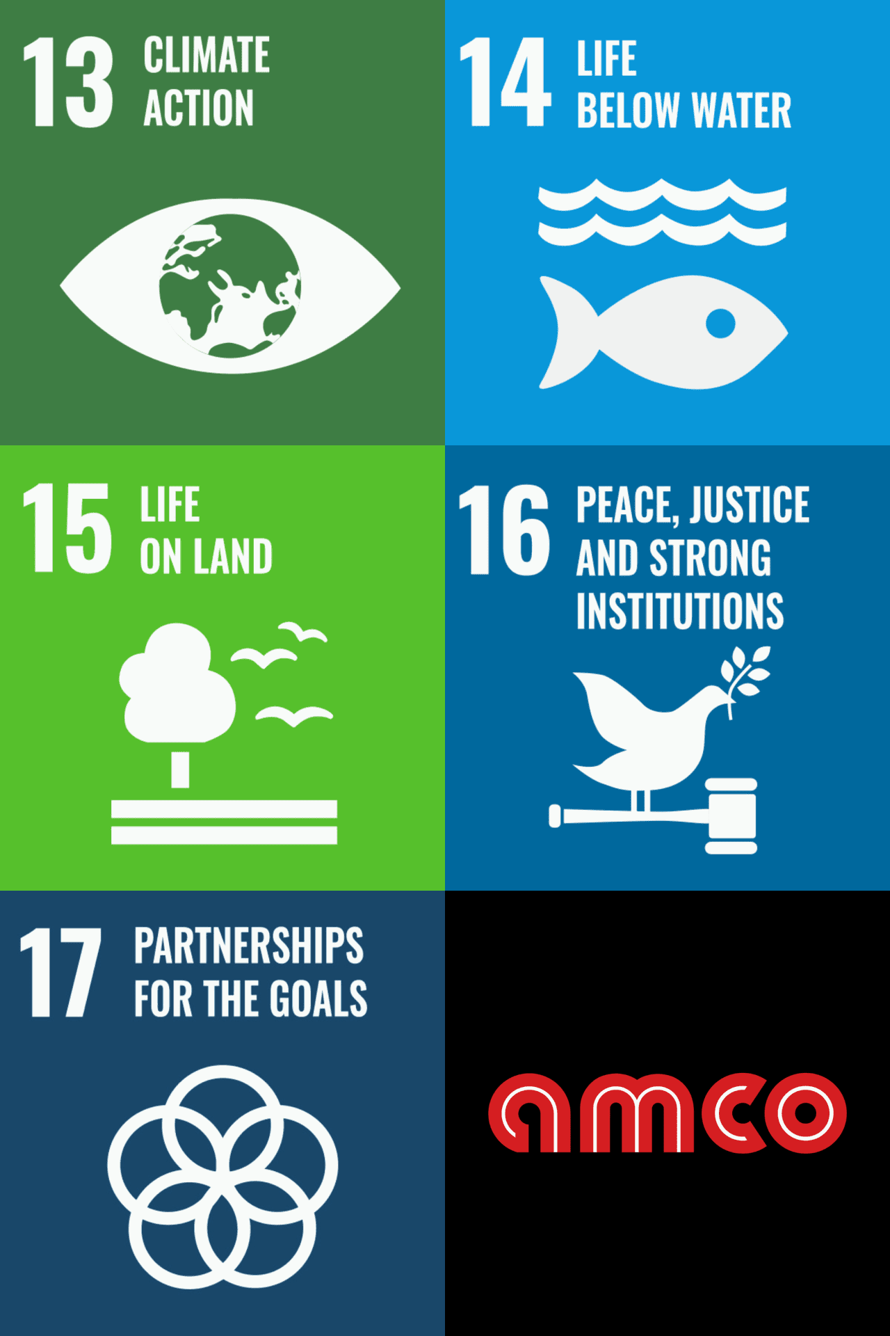 SUSTAINABLE DEVELOPMENT GOALS - AMCO